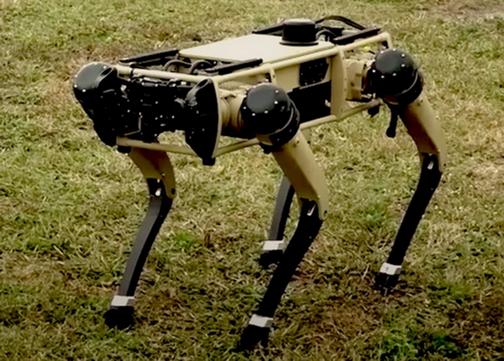 Headless Hounds | Dangerous Globe